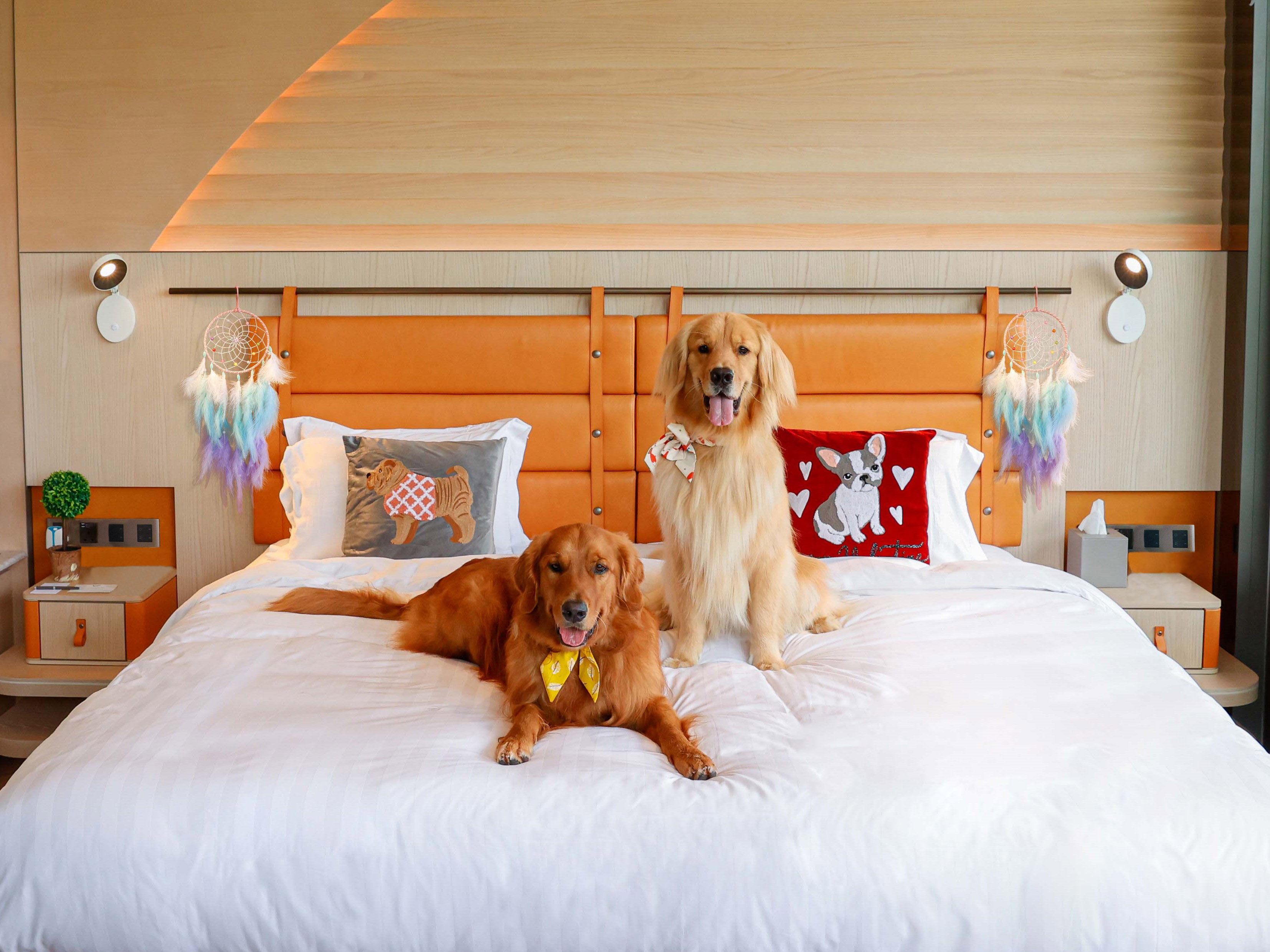 OFFERS | WM Hotel Hong Kong, Vignette Collection | Sai Kung, Hong Kong